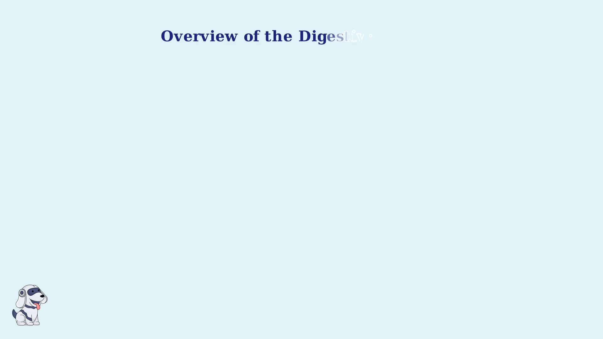 How the Digestive System Works (Animated) | Imagine Explainers