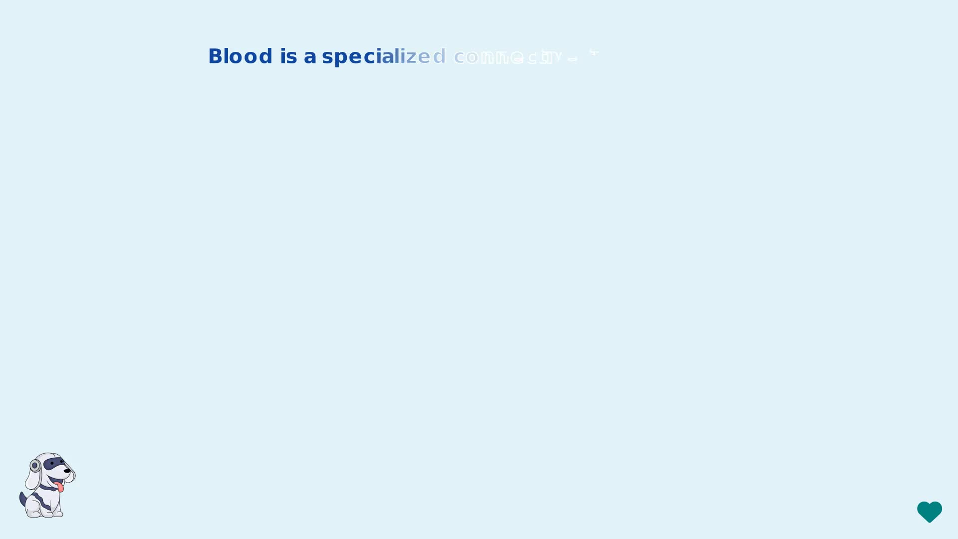 How Blood and the Heart Work: An Animated Explainer | Imagine Explainers