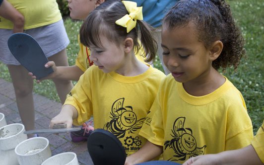 Fireflies Summer Camp | Summerdaze