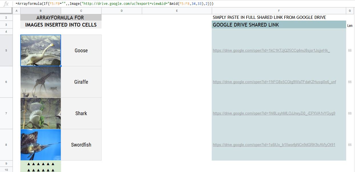 how-can-one-import-images-in-google-sheets-with-importrange-google-docs-editors-community