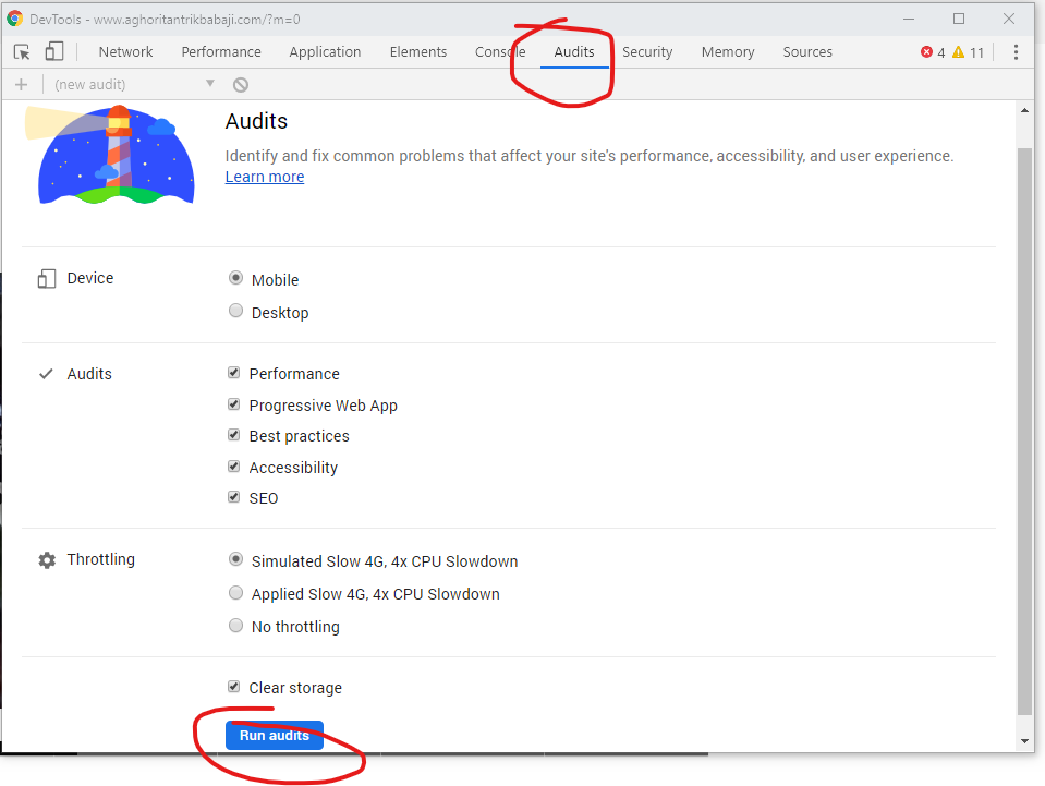 Page Speed Insights is not showing my website performance showing error: INTERNAL: APP::1 ...