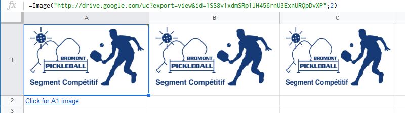Images in Google sheets not displaying - Google Docs Editors Community