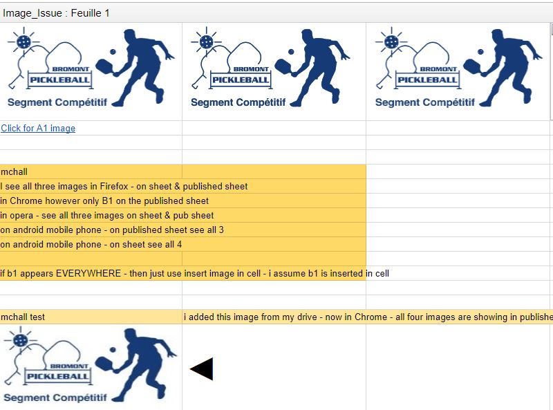Images in Google sheets not displaying - Google Docs Editors Community