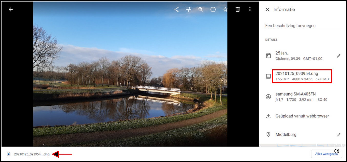 I am trying to download DNG files stored in my google photos backed up ...