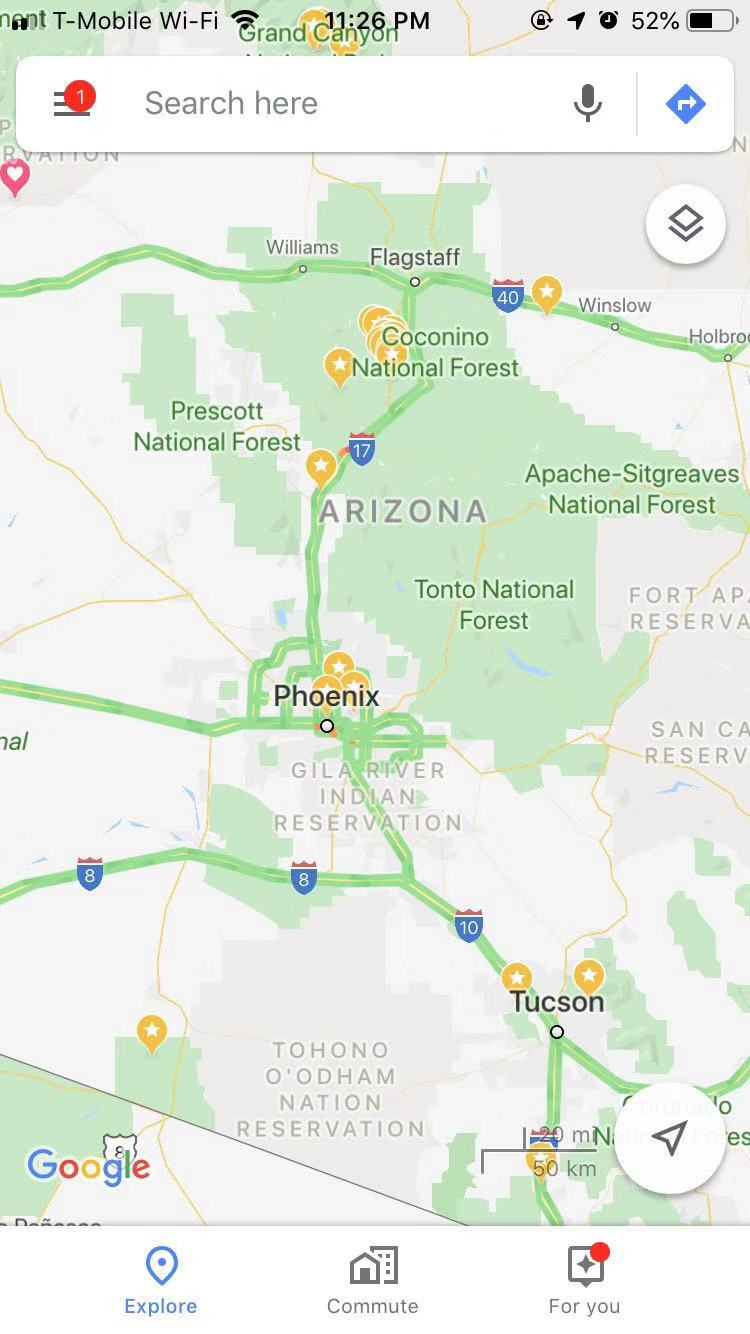 Google Maps Not Displaying Map