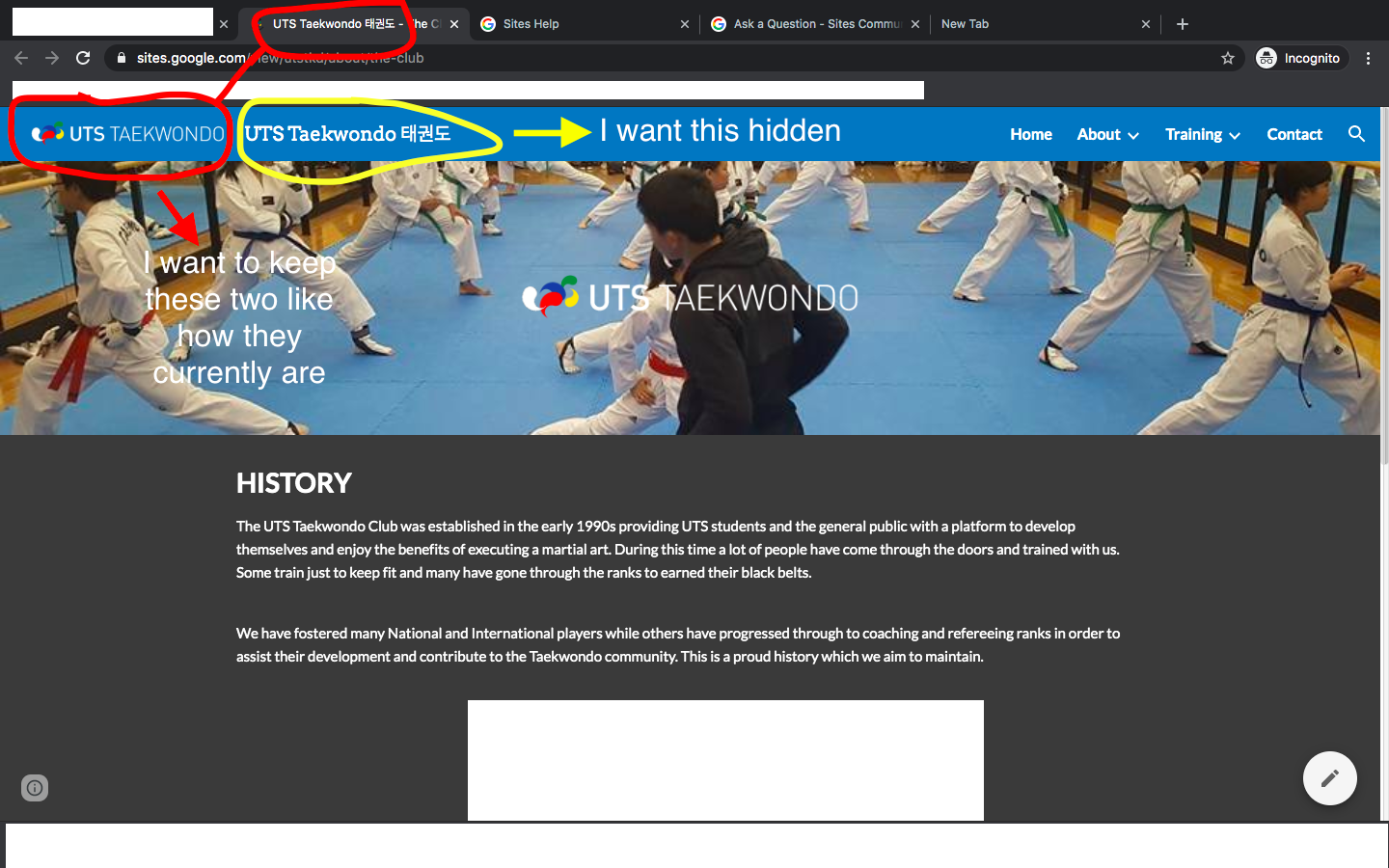 Hiding Site Name only Display In Browser Tab Sites Community