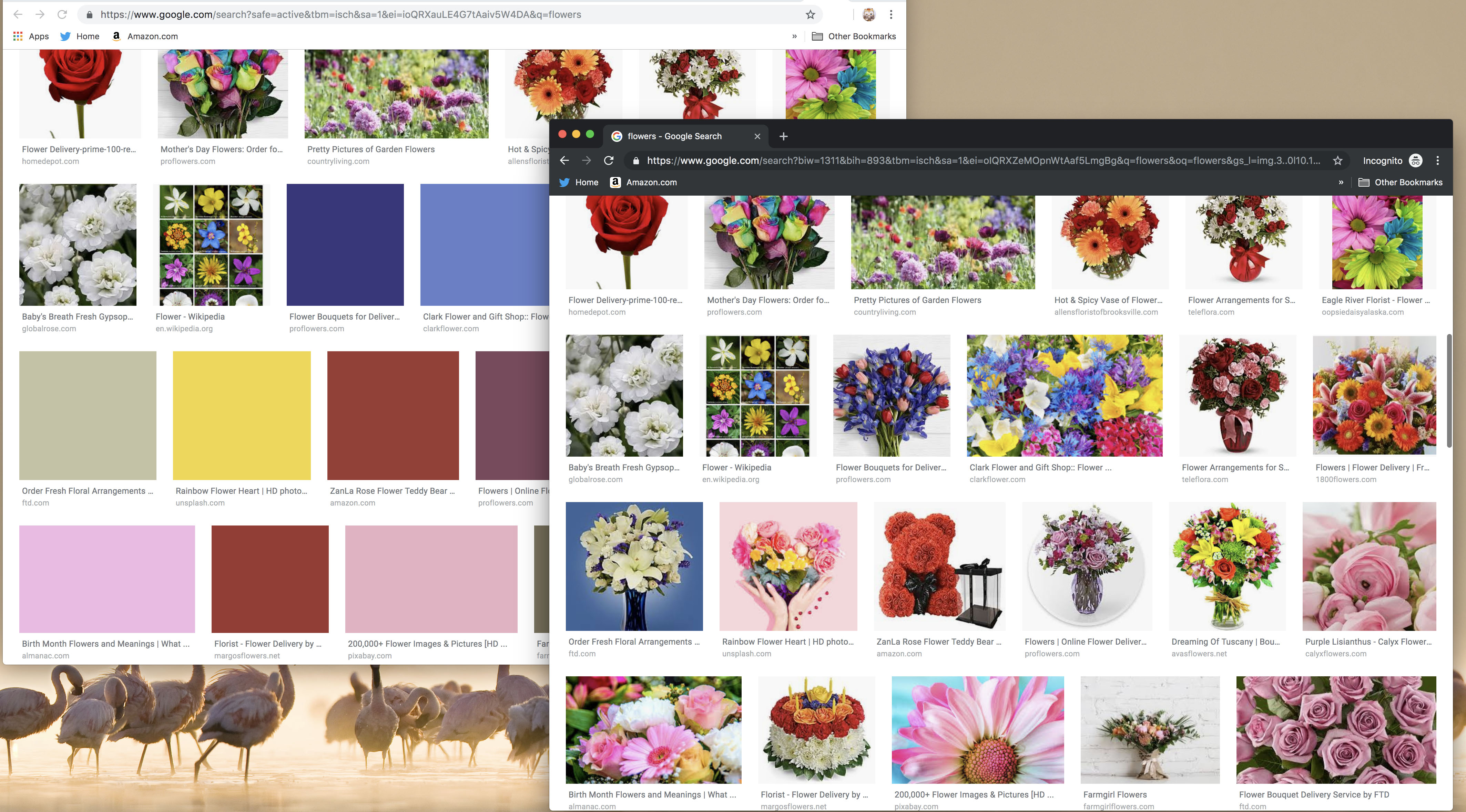 PLEASE HELP! I have tried everything: Google Images NOT loading ...
