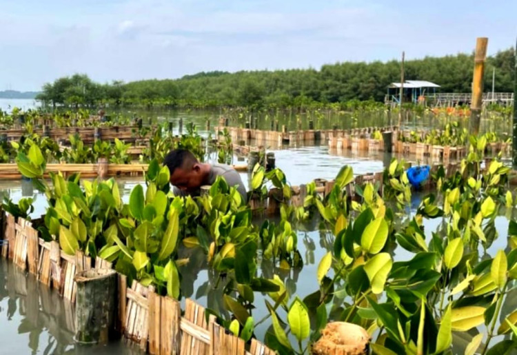 SWA.co.id - Berita Bisnis Terkini