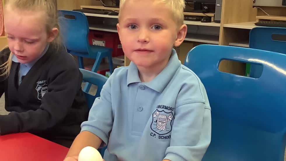 Number Fun in P1 & P2