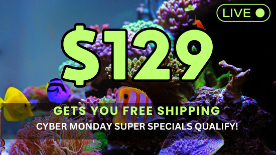 Saltwater Fish - Coral - Invertebrates - Aquariums - Tanks