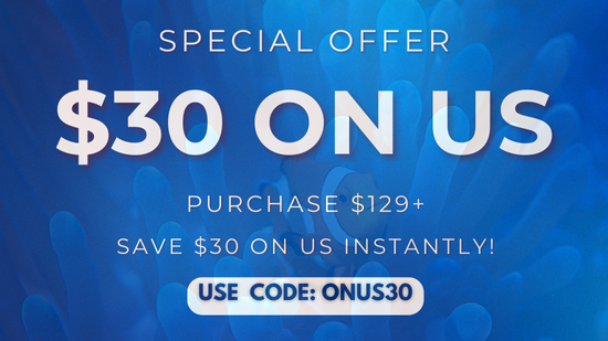 Saltwater Fish - Coral - Invertebrates - Aquariums - Tanks