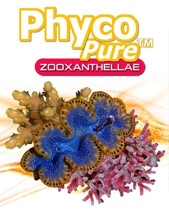 AlgaGen PhycoPure Zooxanthellae 4oz - Live Foods - Saltwater Fish