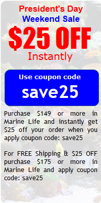 Reef Fish, Marine Fish, Coral, Aquarium Supplies & more - Saltwaterfish.com