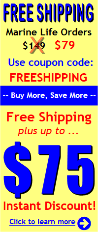 Reef Fish, Marine Fish, Coral, Aquarium Supplies & more - Saltwaterfish.com