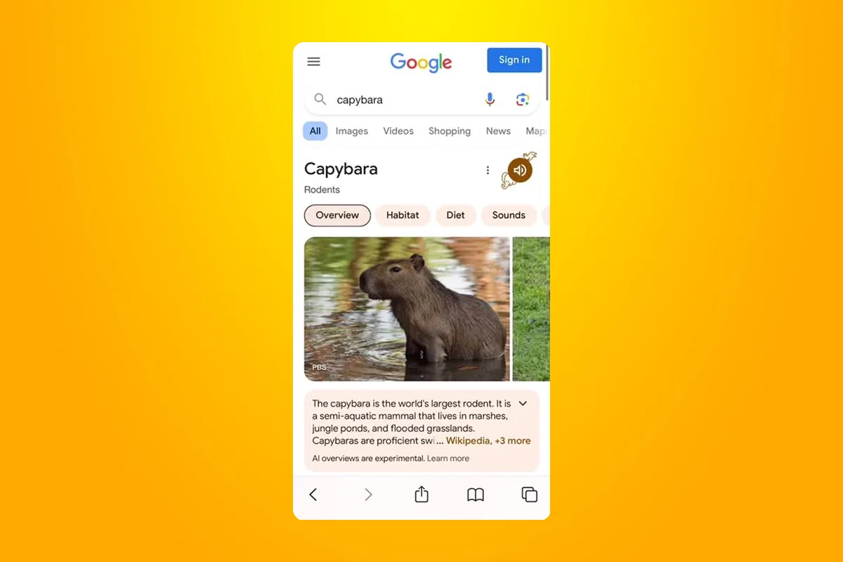 Google Tests AI-Overviews in Search Generative Experience