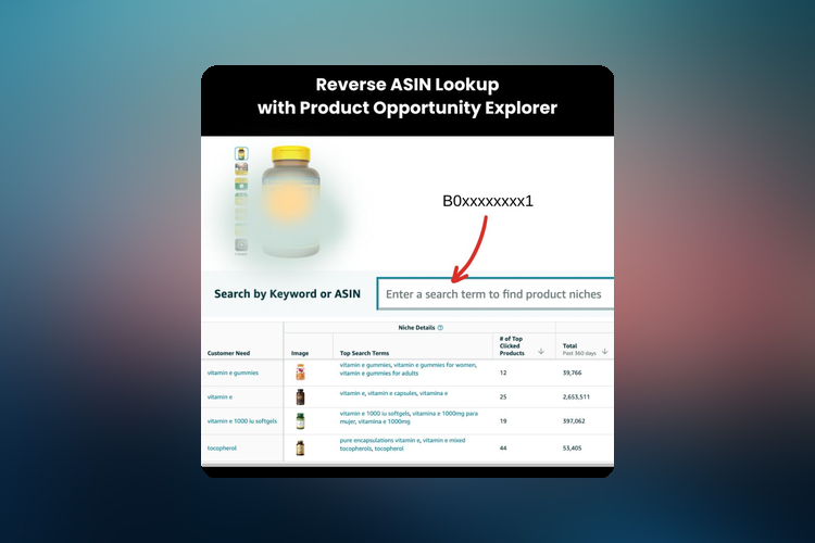 Ritu Java | Swipe Insight