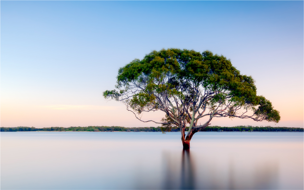 Breathwork | Deep Calm