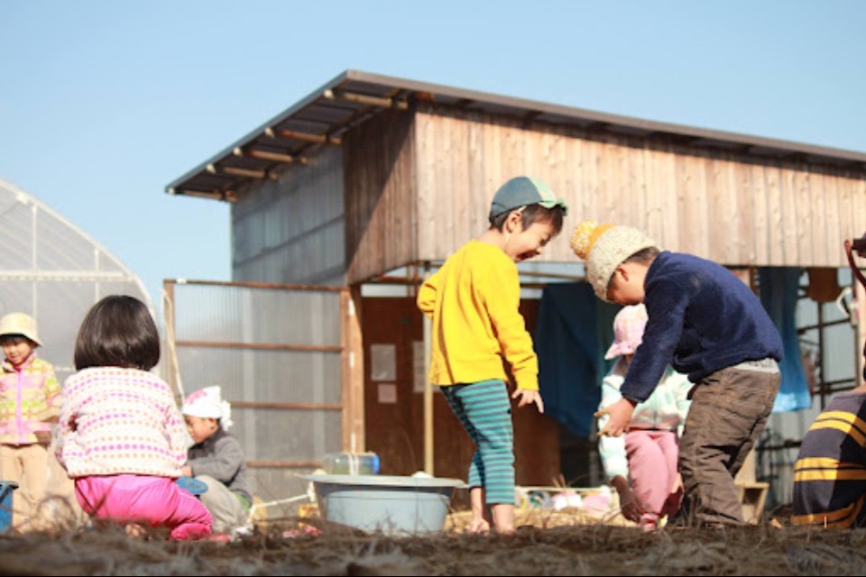 NPO NPO法人青空保育ぺんぺんぐさ