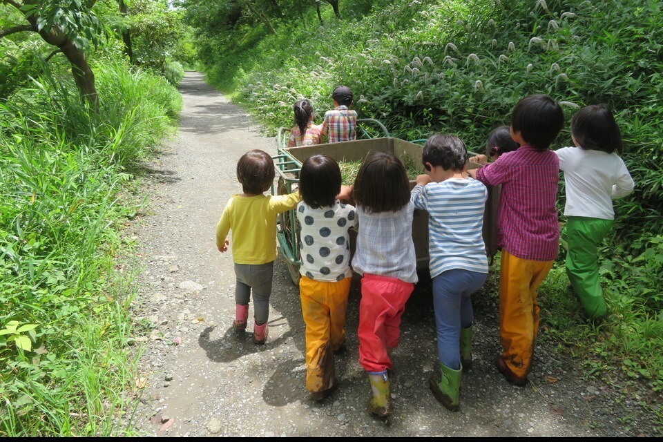 NPO法人 こどもの広場もみの木