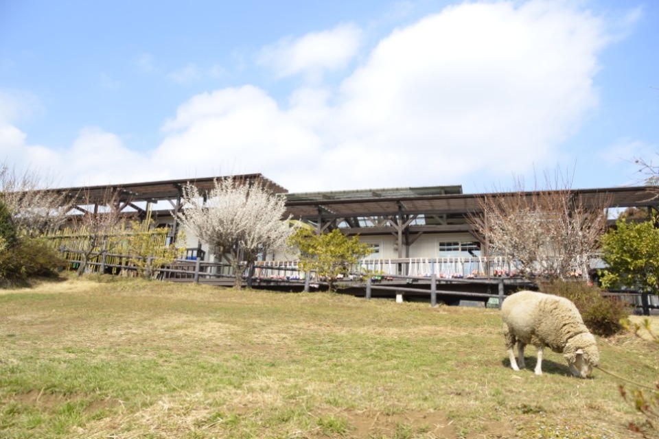 学校法人 風の谷幼稚園
