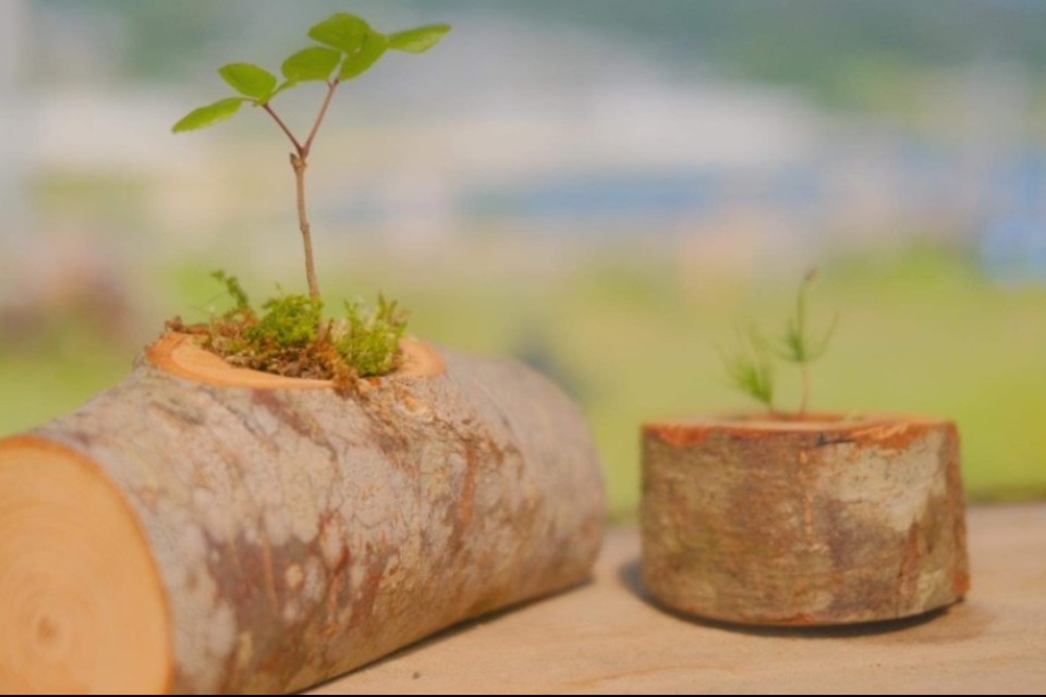 NPO法人 吉里吉里国