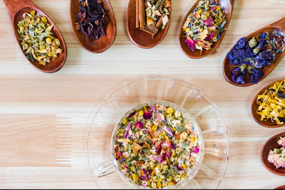 NPO法人 植物の恵み47