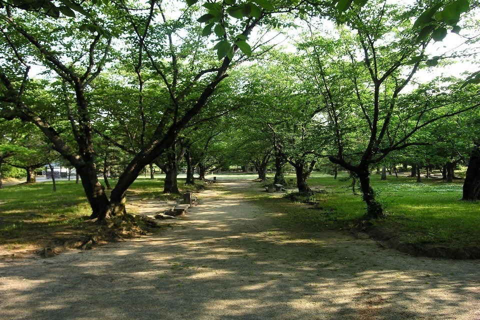 NPO法人 みらいあん