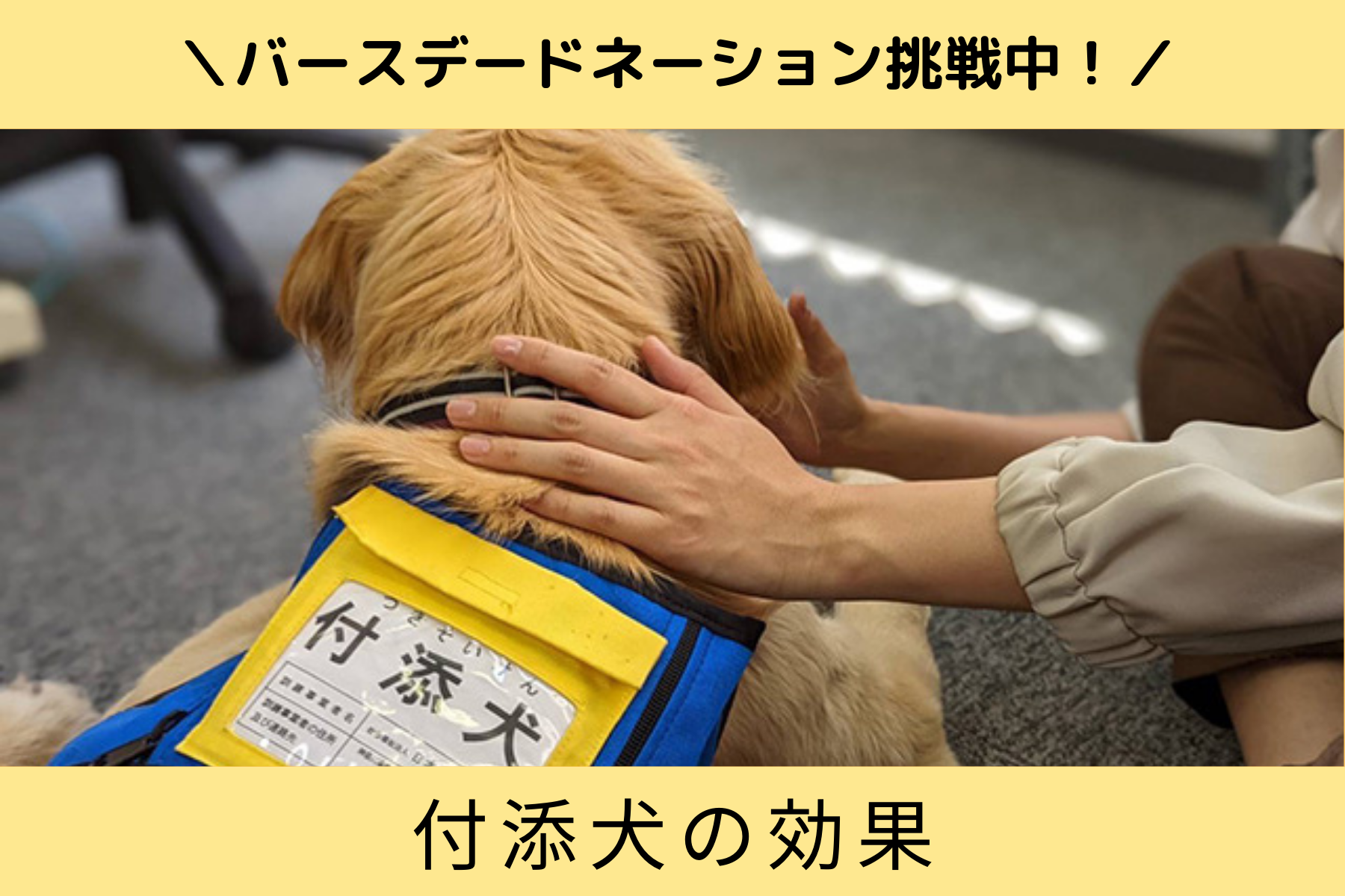 知っていますか？付添犬の効果！