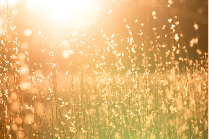 並木麻衣のバースデードネーション（12/13で41歳です！）