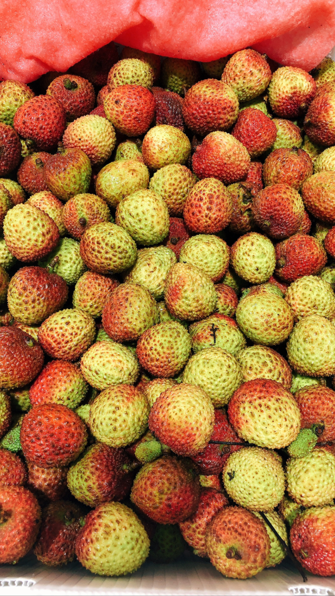 China Lychee (妃子笑) Air Flown - Lai Lai Fresh Fruits - 来来鲜果 | Take App