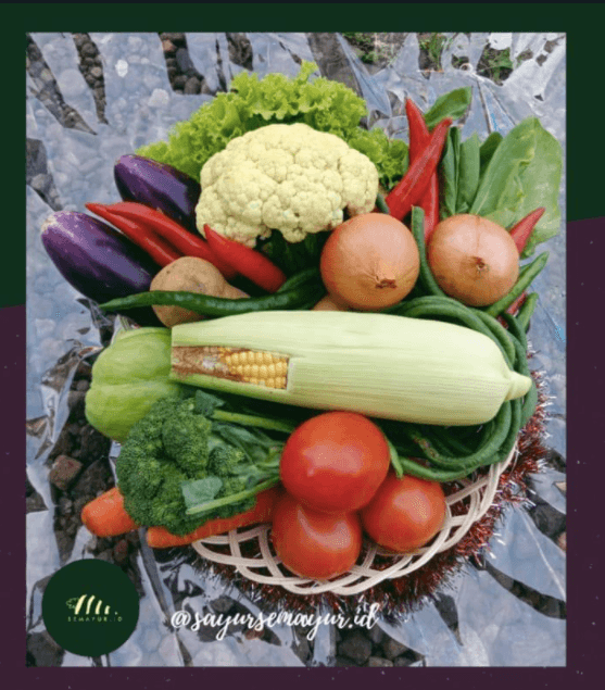 Parcel Sayur 100k - sayur semarang | Take App