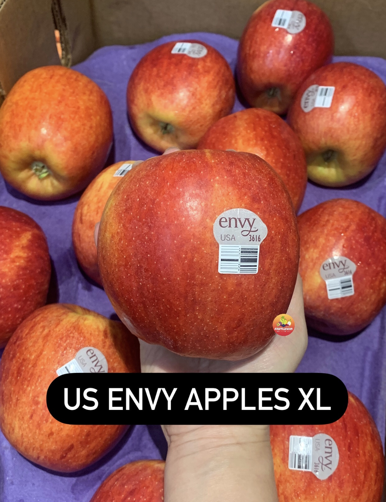 US ENVY APPLES XL - FRUITILICIOUS SG - Online Premium Fresh Fruits ...