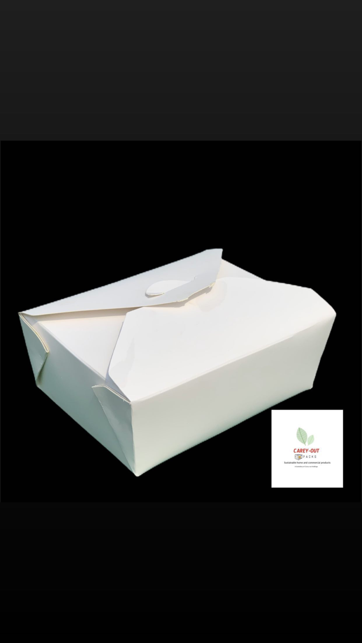 TAKEOUT LUNCH BOXES - ''PLAIN WHITE'' - 2 SIZES - TAKEAWAY PACKAGING ...