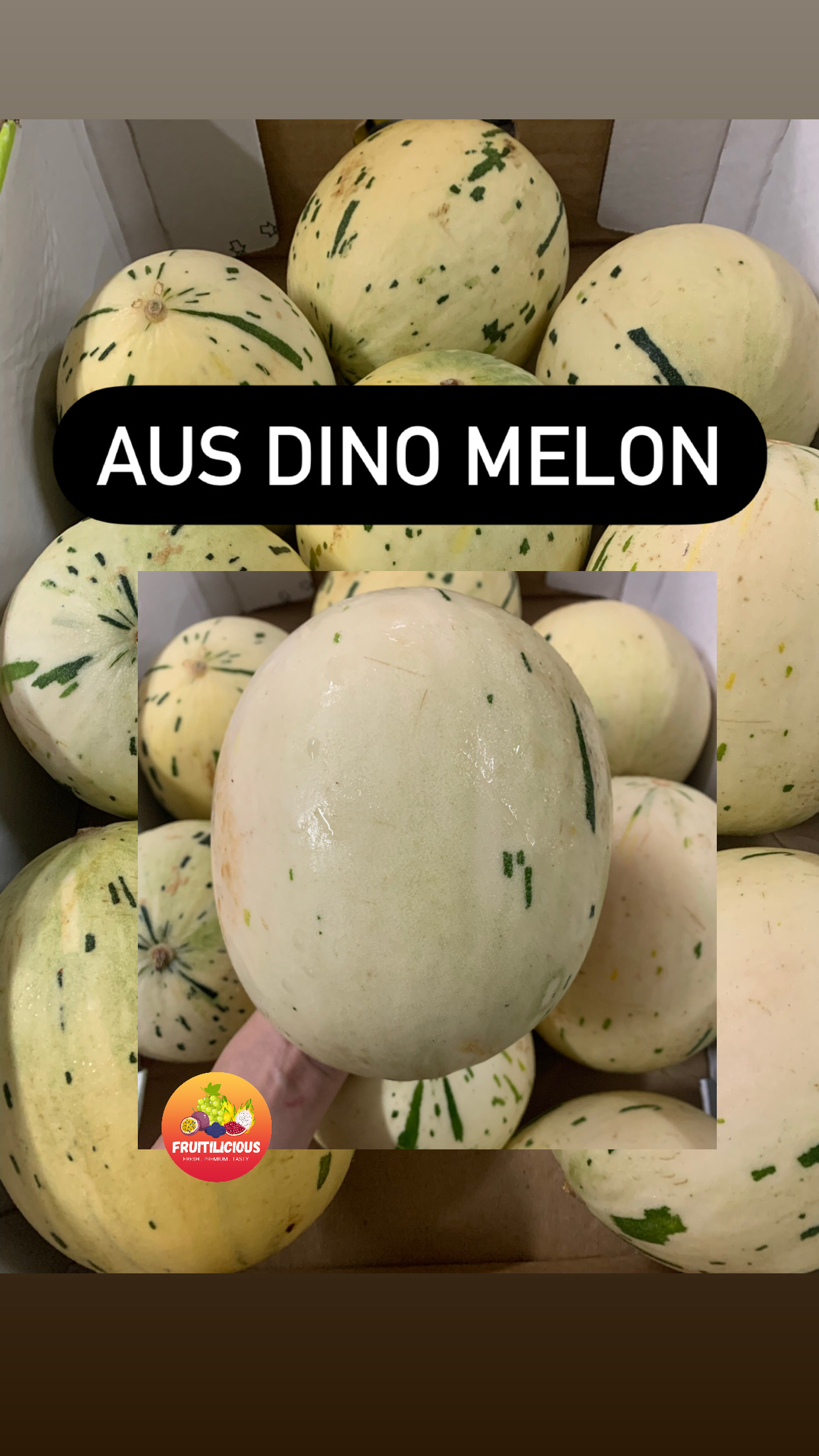AUS DINO MELON (M) - FRUITILICIOUS SG - Online Premium Fresh Fruits ...