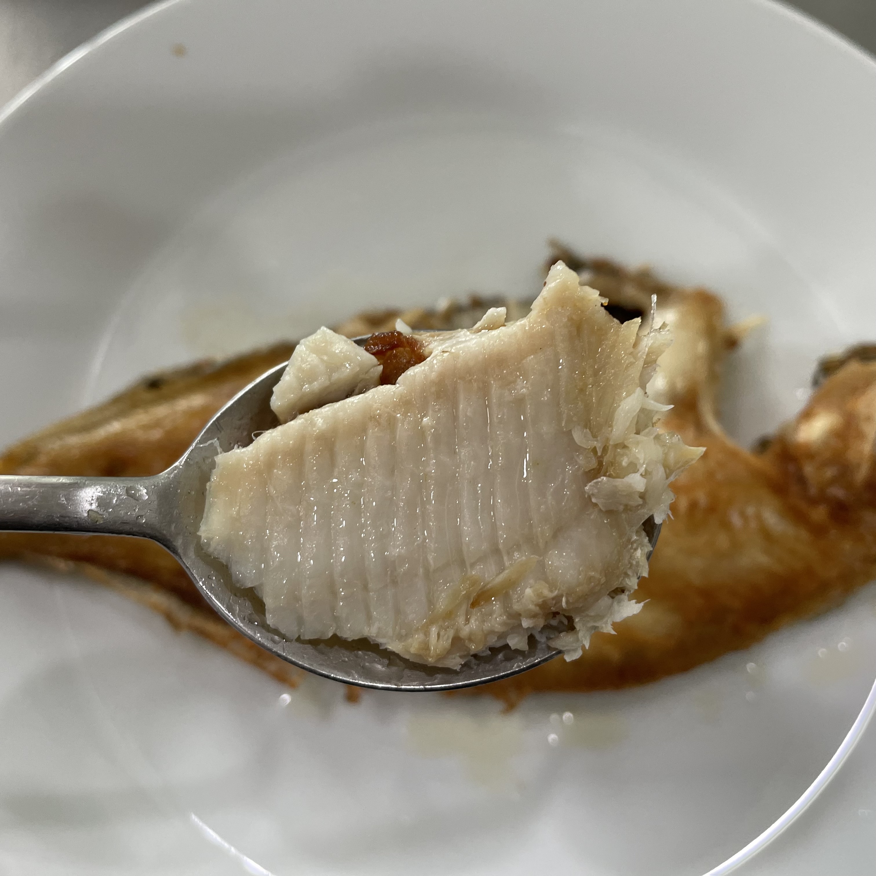 반건조 참가자미(200-240g) - W I N S O M E | Take App