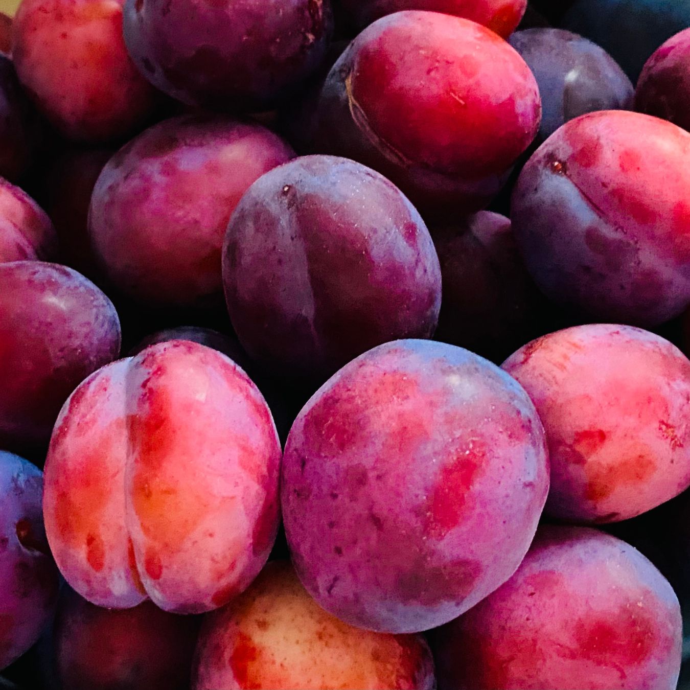 Plum (Matunda Damu) - Kitaa Foods: Groceries Delivery in Dar esalaam ...