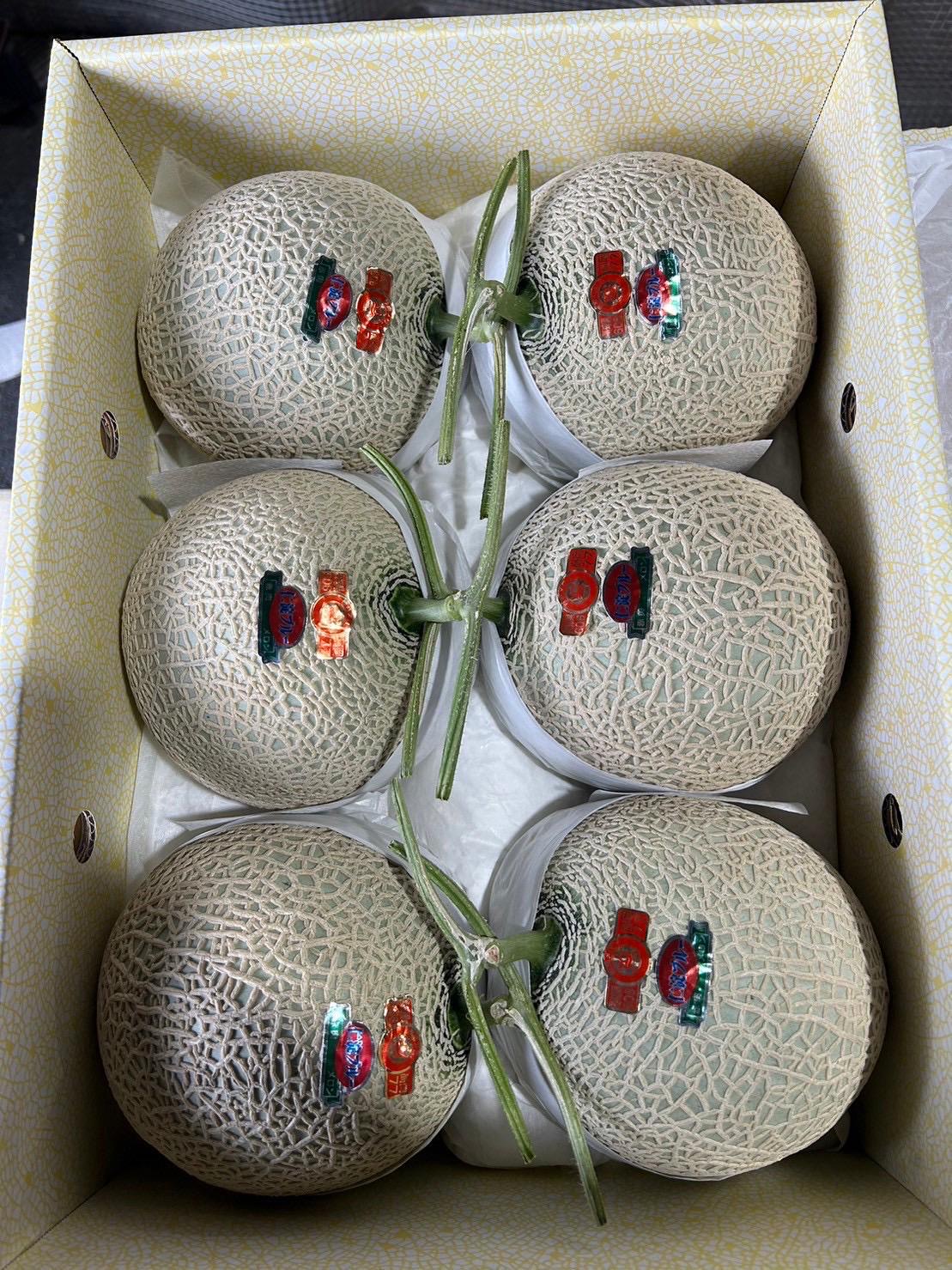 高知赤肉蜜瓜🍈 8kg A 5-6玉 Kochi Red Melon🍈 8kg A 5-6pcs - Superfood.green ...