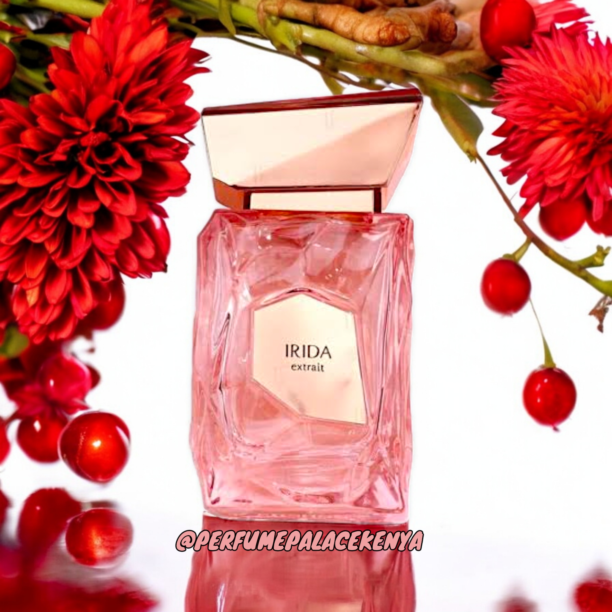 IRIDA EXTRAIT - Perfume Palace Kenya | Take App