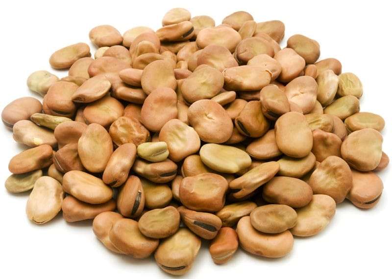 Fava Beans (Fool Masry) 3 kg - Delivery in Egypt