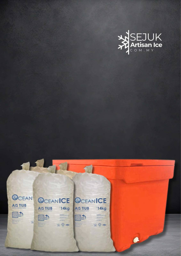 One Day Party Set Package - Edible Ice Supplier