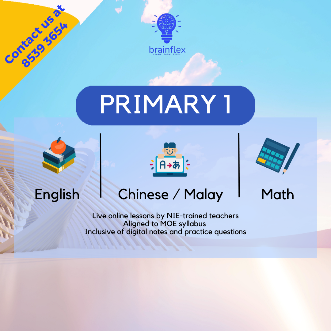 Primary 1 - BrainFlex | Take App
