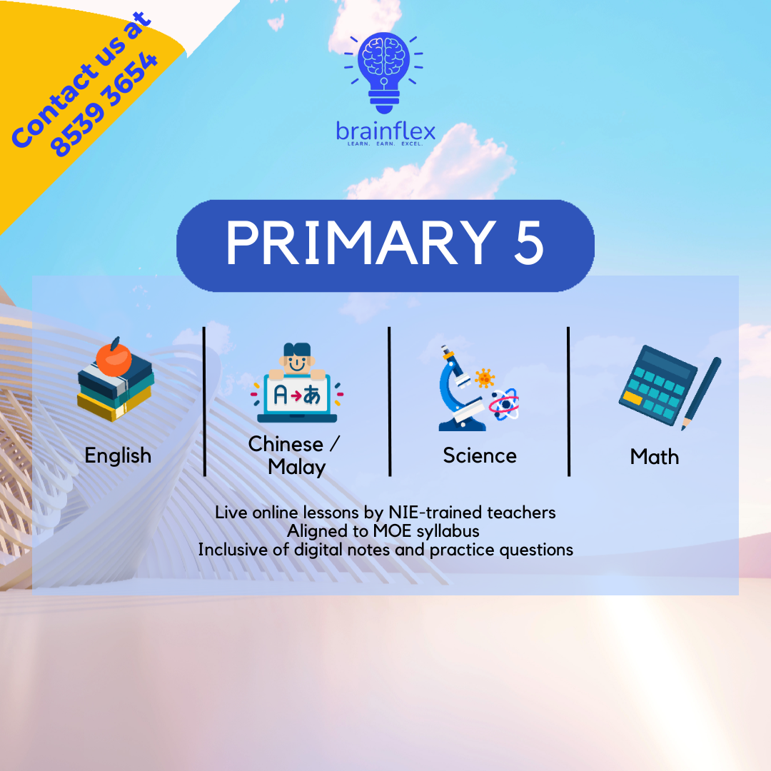 Primary 5 - BrainFlex | Take App