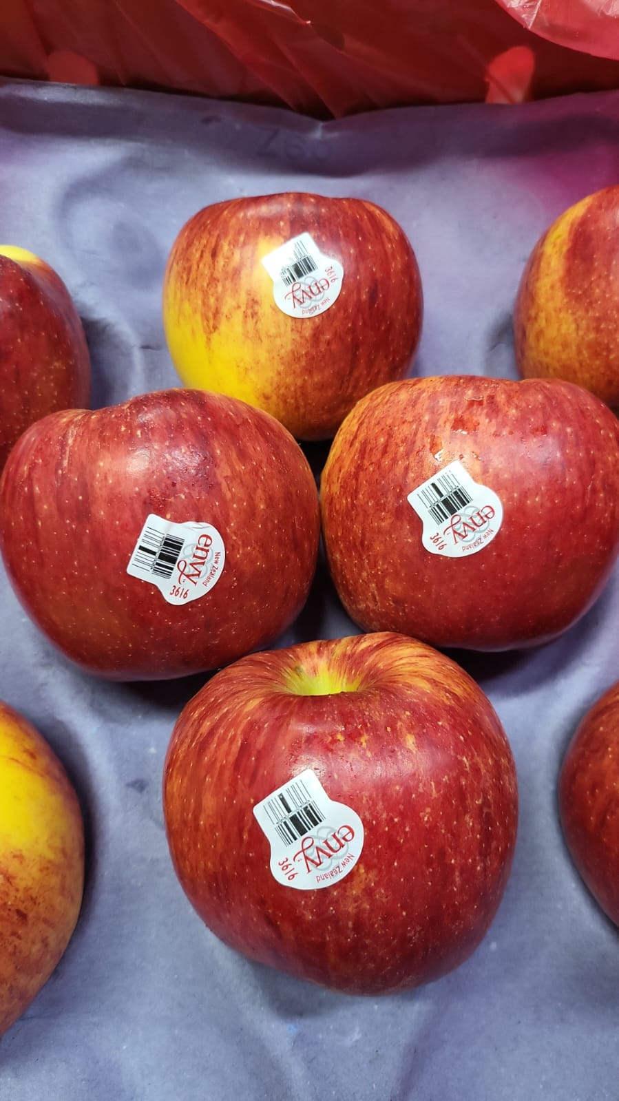 Envy Apple XL - Fruits Group Buy | Take App