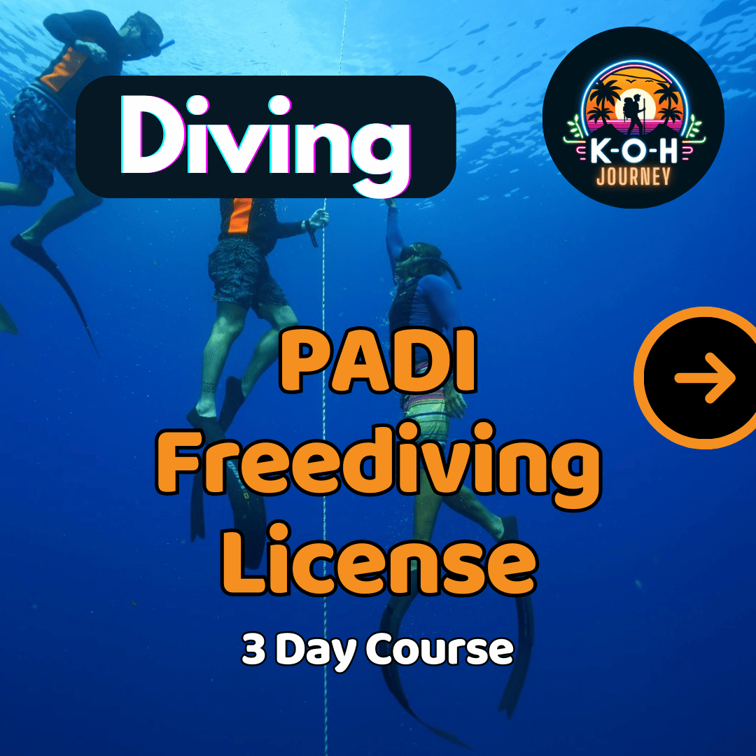 PADI Freediving License 🪪 - 3 Day Course (20% Deposit) - Beach Jungle ...