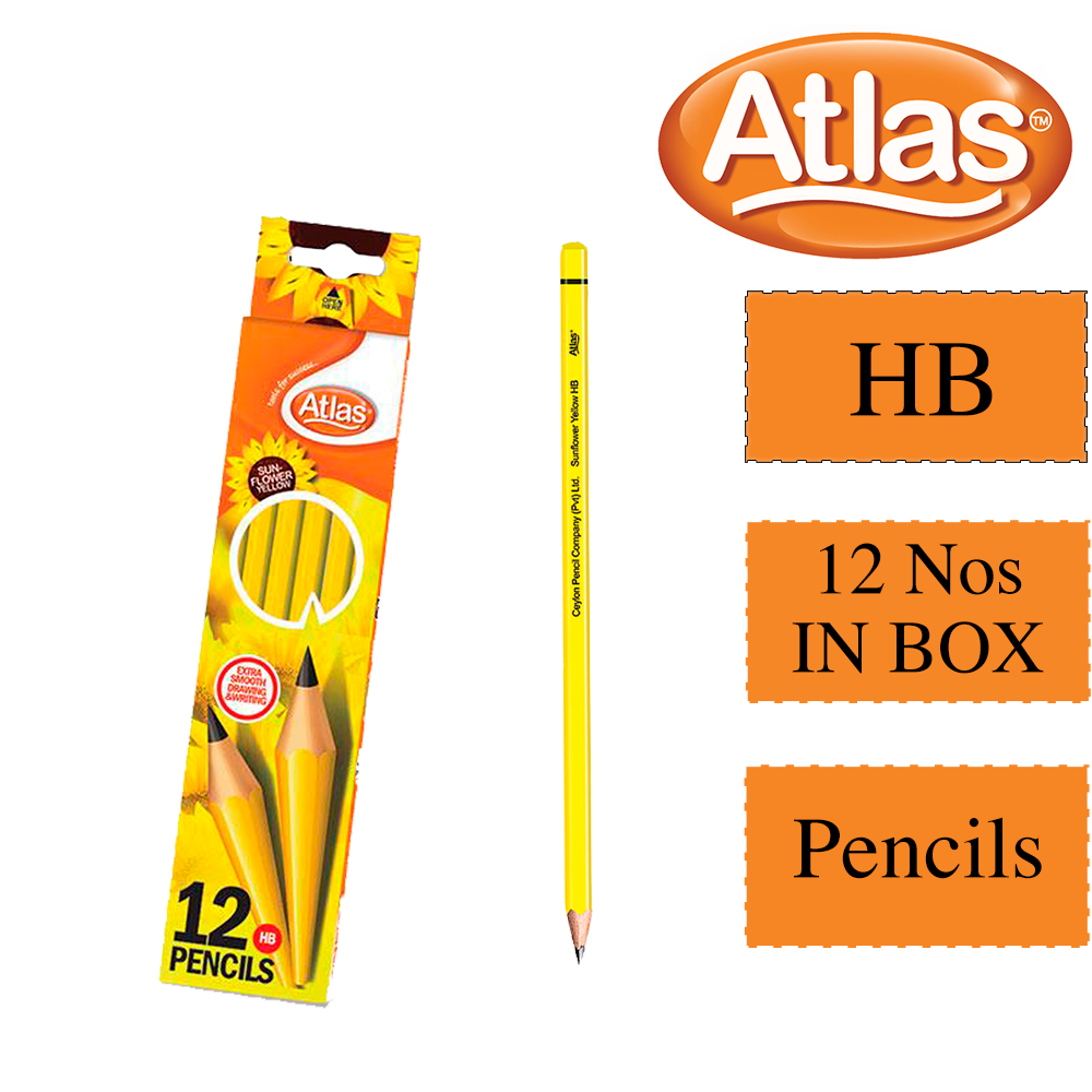 Pencil 12 PCS box - Everstock Wholesalers | Take App