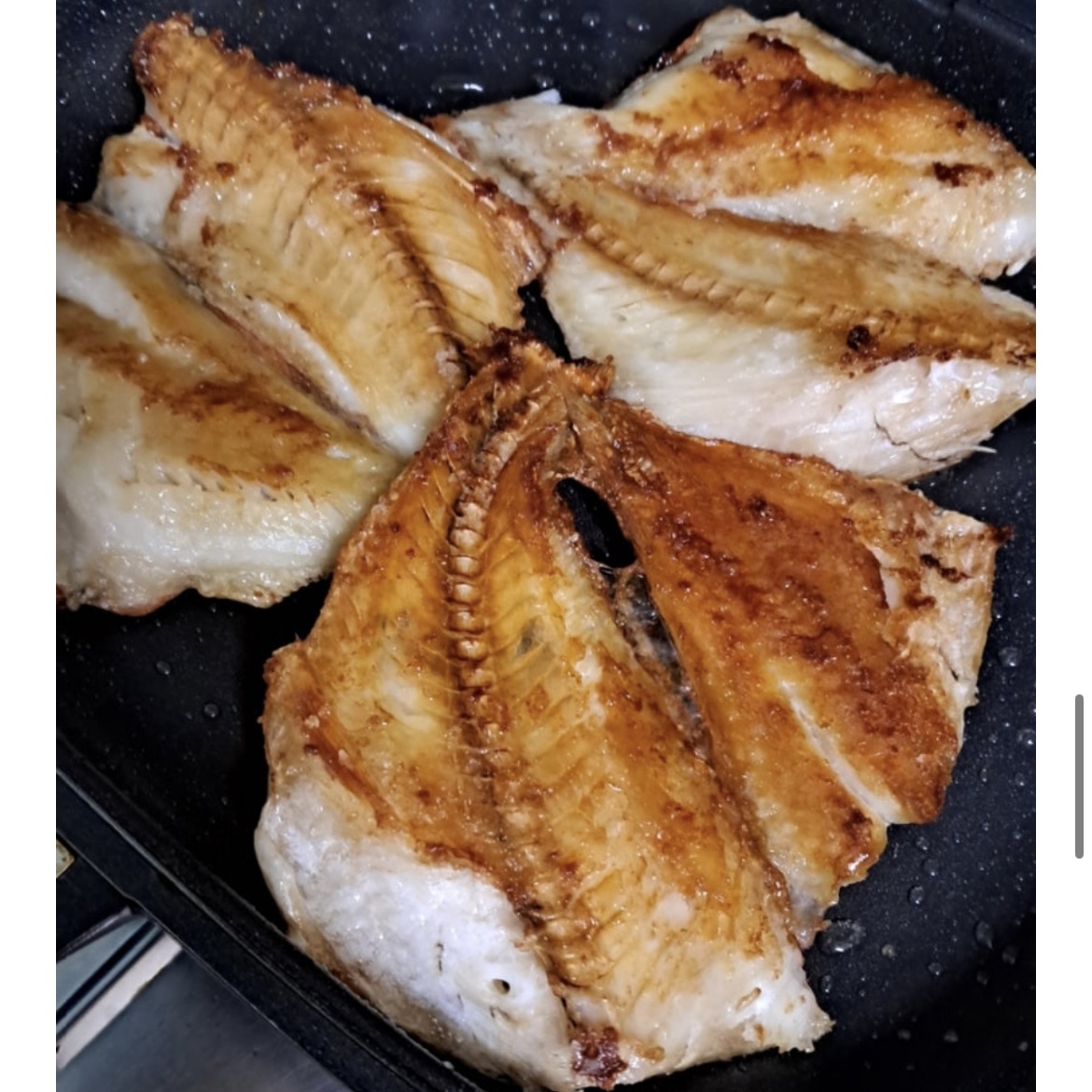 (반건조생선)두절 열기포 240g - WINSOME | Take App