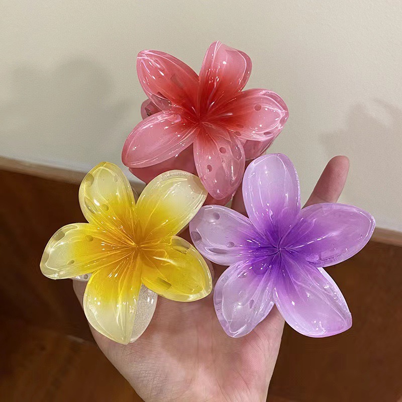 Hawaiian claw clips - PANDORA SHOP IN CMR | Take App