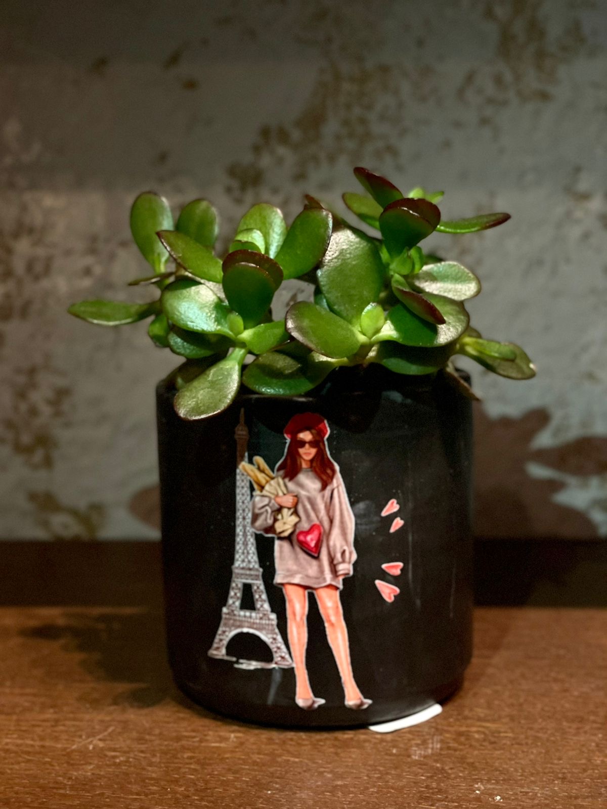 SuccuLand Baku | Take App