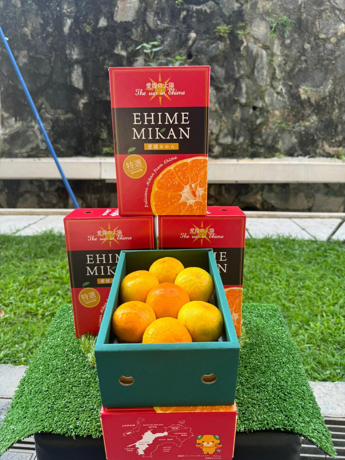 Japan Ehime Mikan Gift Box - Eating Right | Take App