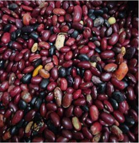 Simi Daal - Agri Nepal | Take App